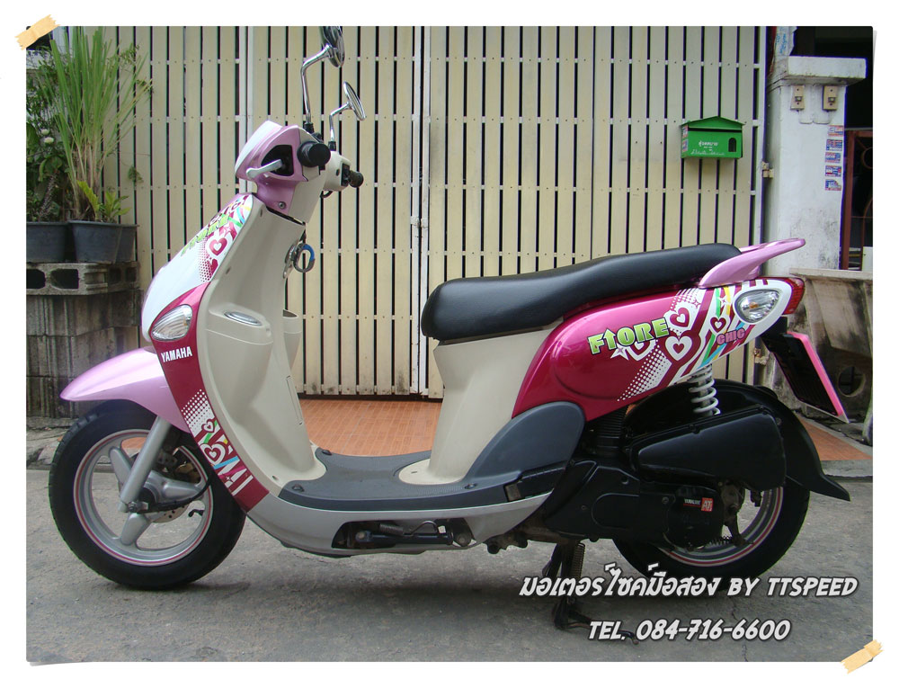 หมวดหมู่: Fiore | TTSPEED.COM